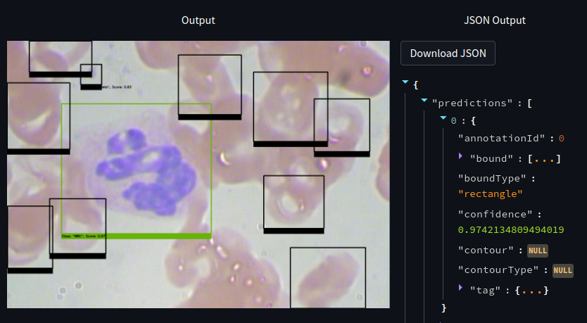 Building a Simple Inference Dashboard with Streamlit